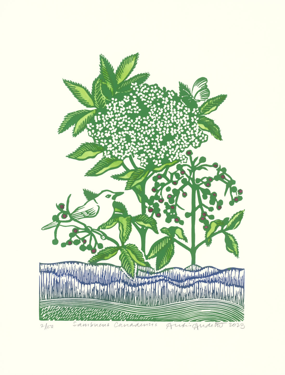 Mazy Path Sambucus Canadensis Green Print – Well Made Home